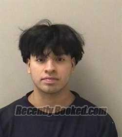 Recent Booking / Mugshot for ANTHONY C RAMIREZ in Kane County, Illinois