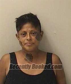 Recent Booking / Mugshot for PERLA RAMOS in Kane County, Illinois
