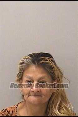 Recent Booking / Mugshot for DOMINGA RODRIGUEZ in Kane County, Illinois