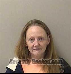 Recent Booking / Mugshot for KELLY RENEE SMITH in Kane County, Illinois