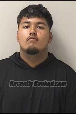 Recent Booking / Mugshot for ALVIN VAZQUEZ in Kane County, Illinois
