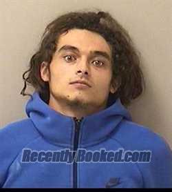 MARCUS A BEE Arrest Record & Booking Info – Kane County, Illinois ...
