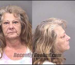 Recent Booking / Mugshot for Brenda L Alrandi in Kankakee County, Illinois