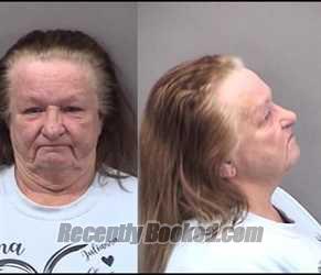 Recent Booking / Mugshot for Debra Bourassa in Kankakee County, Illinois