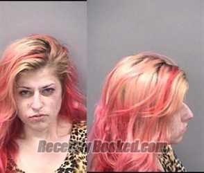 Recent Booking / Mugshot for Madison M Draper in Kankakee County, Illinois