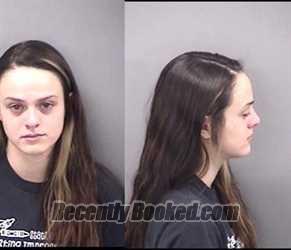 Recent Booking / Mugshot for Kaylee A Drummer in Kankakee County, Illinois