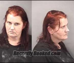 Recent Booking / Mugshot for Diana M Conner in Kankakee County, Illinois