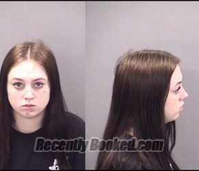 Recent Booking / Mugshot for Alexis N Johnson in Kankakee County, Illinois