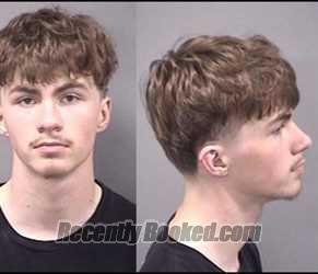 Recent Booking / Mugshot for Paul D Criddle in Kankakee County, Illinois