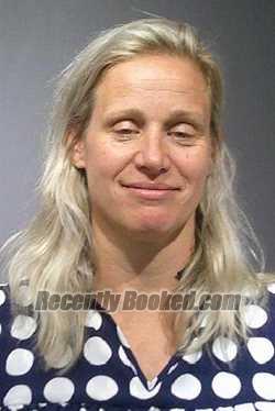 Recent Booking / Mugshot for ALISON RENE BRANTLEY in Kendall County ...