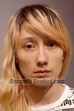 Recent Booking / Mugshot for DESTINY ARIANA MORENO in Kendall County ...