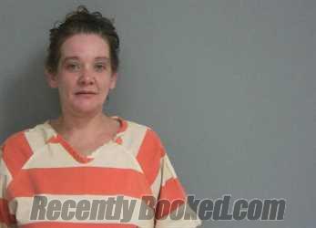 Recent Booking / Mugshot for ROSEANN RAY DAVIS in La Salle County, Illinois