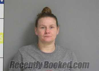 Recent Booking / Mugshot for TRACEY ANNE FELLOWS in La Salle County ...