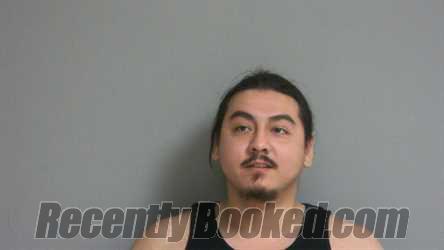 Recent Booking / Mugshot for NICHOLAS N CEJA in La Salle County, Illinois