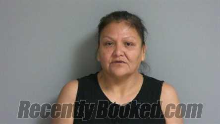 Recent Booking / Mugshot for TINA A CHAPO in La Salle County, Illinois