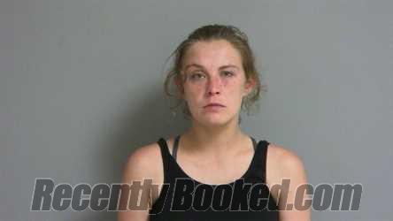 Recent Booking / Mugshot for AMBER V FLACK in La Salle County, Illinois