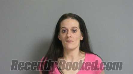 STACEY M PAINTER Arrest Record & Booking Info – La Salle County ...