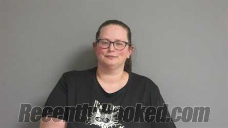 Recent Booking / Mugshot for JAMIE L ZINKE in La Salle County, Illinois