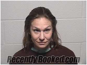 Recent Booking / Mugshot for JULIE K LABUDA in Lake County, Illinois