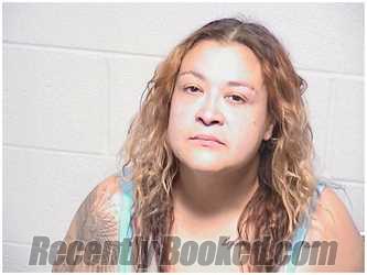 Recent Booking / Mugshot for KANDI L SMITH in Lake County, Illinois
