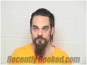 Recent Booking / Mugshot for DAVID W DYSON in Lake County, Illinois