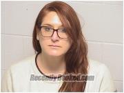 Recent Booking / Mugshot for DANIELLE L BASTIAN in Lake County, Illinois