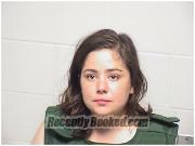 Recent Booking / Mugshot for MICHELLE A CELORIO-LLAMAS in Lake County ...
