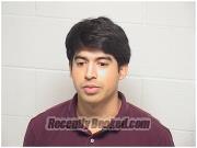 AARON PAREDES Arrest Record & Booking Info – Lake County, Illinois ...