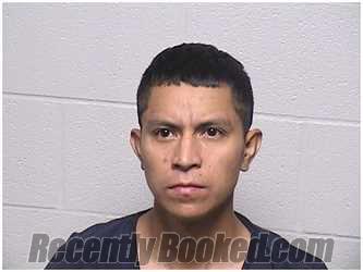 Recent Booking / Mugshot for ARMANDO DEMATIAS-SILVA in Lake County ...