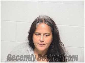 Recent Booking / Mugshot for MICHELLE E MCDONALD in Lake County, Illinois