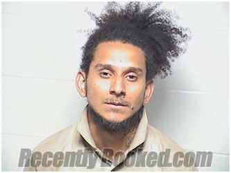 Recent Booking / Mugshot for MARIO R CACERES-MONTINO in Lake County ...