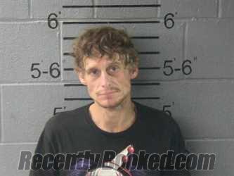 Recent Booking / Mugshot for ALLEN WADE SR BYERS in Lawrence County ...