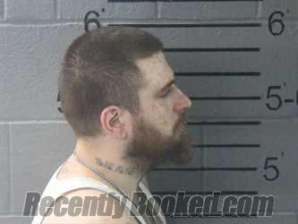 Recent Booking / Mugshot for TYLER DESHANN WILKINS in Lawrence County ...