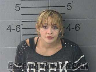 Recent Booking / Mugshot for TOSHA NICOLE CLARK in Lawrence County ...