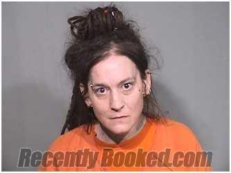 AMY M RYZNAR Arrest Record & Booking Info – McHenry County, Illinois ...