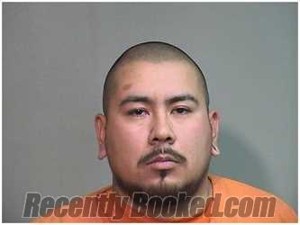 Recent Booking / Mugshot for JAZAEL ZAPATA-SAMPAYO in McHenry County ...