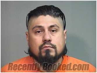 JULIO CESAR SALAS Arrest Record & Booking Info – McHenry County ...