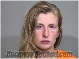 Recent Booking / Mugshot for DEMI KAYE PETERSON in McHenry County, Illinois