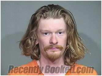Recent Booking / Mugshot for BRADLEY N JOHNSON in McHenry County, Illinois