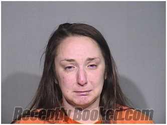 Recent Booking / Mugshot for ELIZABETH A SCHMID in McHenry County, Illinois