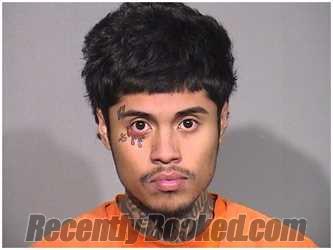 Recent Booking / Mugshot for JESSE JULIO-GUMECINDO in McHenry County ...