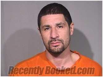 Recent Booking / Mugshot for MICHAEL J NOVAK in McHenry County, Illinois