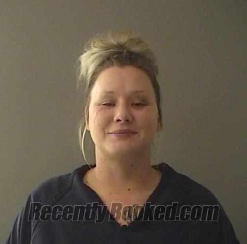 Recent Booking / Mugshot for ALANNAH JO WILDERMAN in Macon County, Illinois