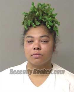 Recent Booking / Mugshot for ALISHA NICOLE TILLMAN in Macon County ...