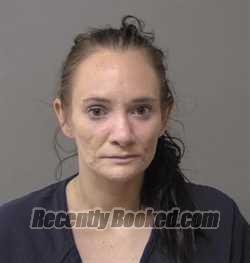 Recent Booking / Mugshot for CRYSTAL DAWN SCHULTZ in Macon County, Illinois