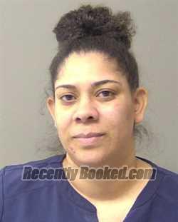 Recent Booking / Mugshot for TARA NICOLE MAYES in Macon County, Illinois