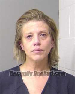 Recent Booking / Mugshot for ERIN MICHELLE CHEATHAM in Macon County ...