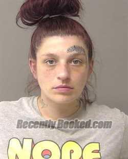 Recent Booking / Mugshot for NATASHA LEE HOWELL in Macon County, Illinois