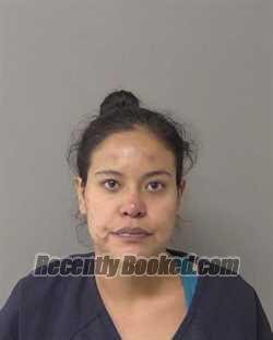 Recent Booking / Mugshot for ESTEFANY ARBELEAZ ARANGO in Macon County ...