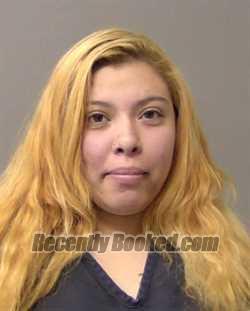 Recent Booking / Mugshot for MARIA GUADALUPE GALVAN in Macon County ...